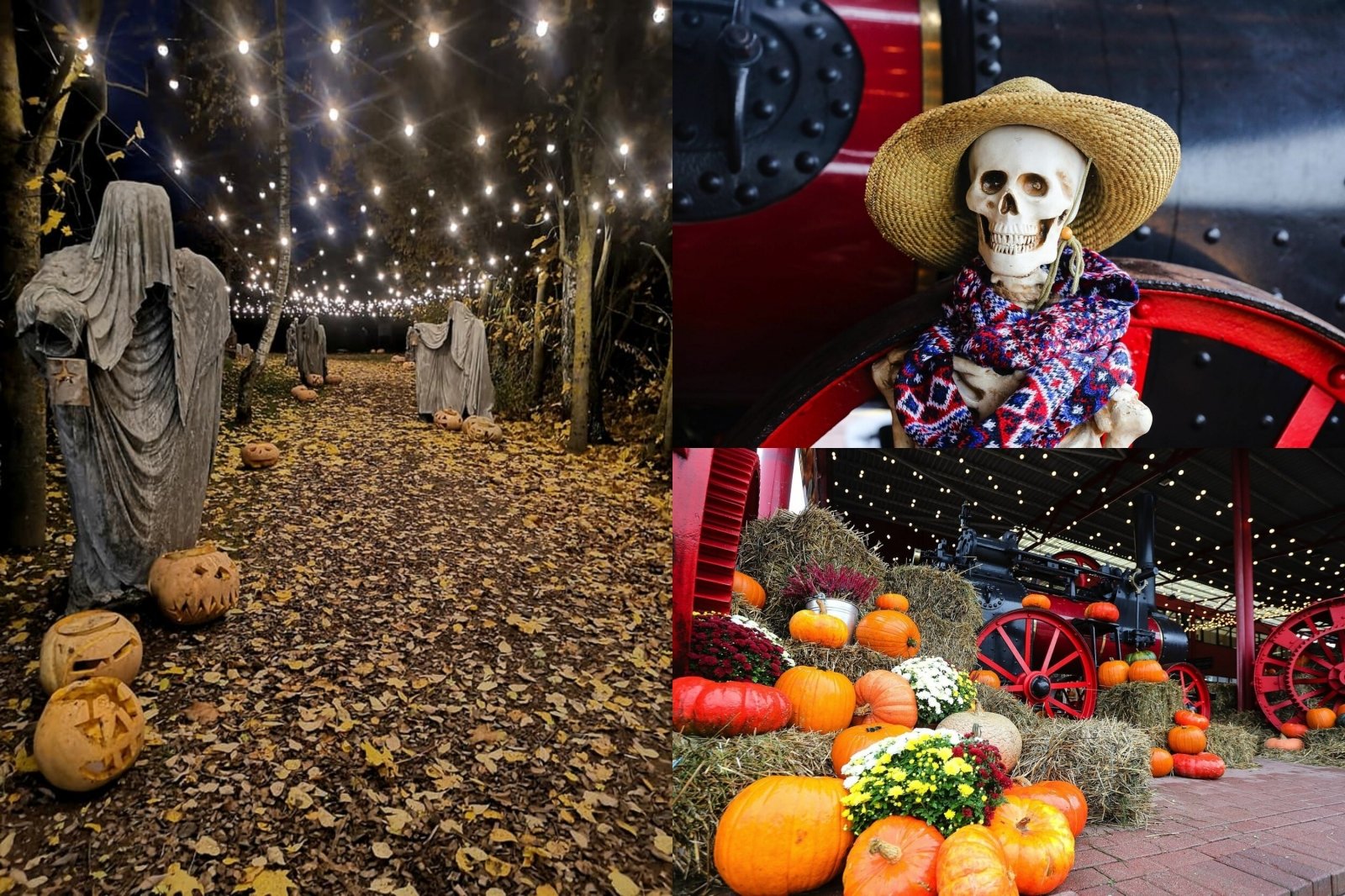 Helovinas Lietuvoje – kodėl skatiname svetimas tradicijas? | Lietuvos ...